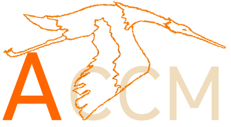 Portfolios Archive - ACCM60